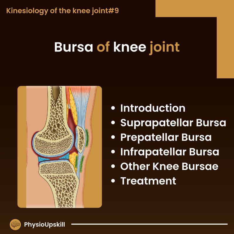 [Physioupskill] ## Episode137: Kinesiology of Knee joint#9 Bursa of ...