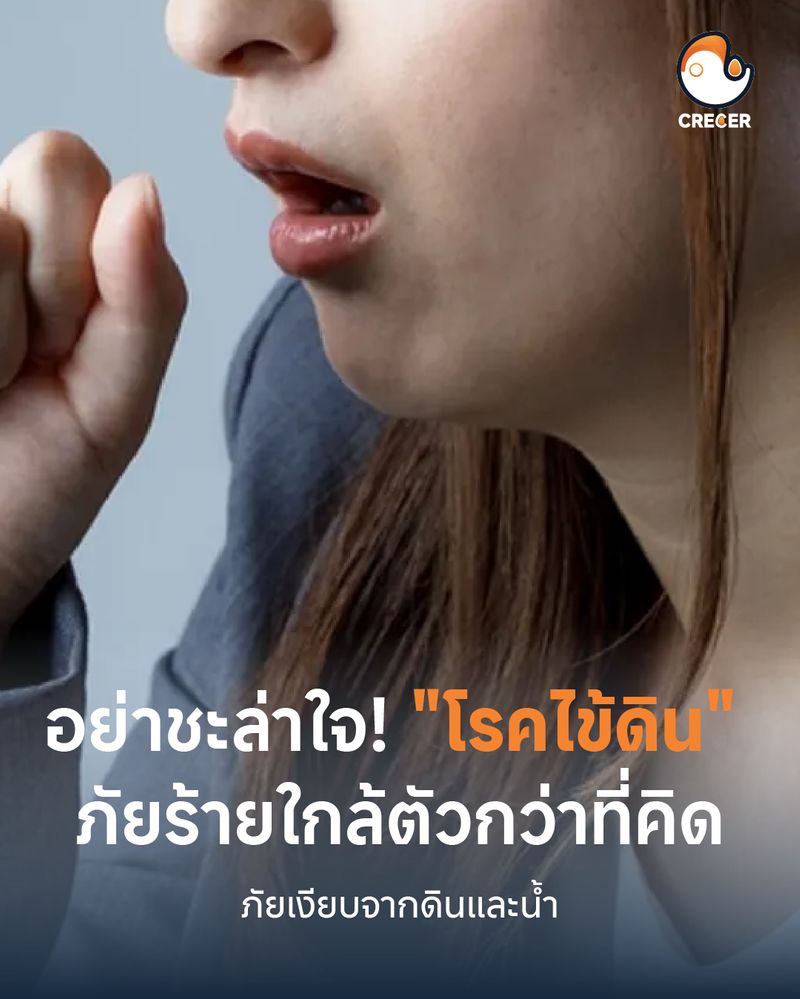 [C.Crecer ครีเซอร์ ] อย่าชะล่าใจ! "โรคไข้ดิน" ภัยร้ายใกล้ตัวกว่าที่คิด 😷 ⚠️ ระวังโรคไข้ดิน หรือ ...