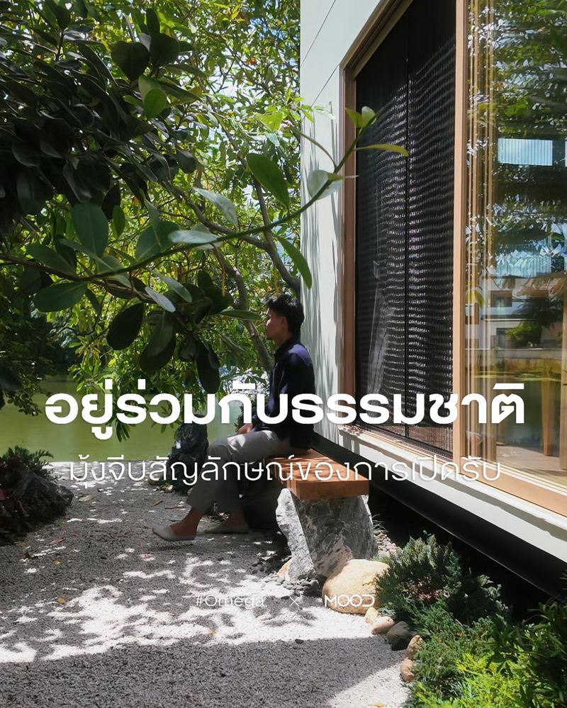 [เซลล์ฟ้าใส x Windecor] อยู่ร่วมกับธรรมชาติ 🌿 มุ้งจีบ สัญลักษณ์ของบ้าน HAKO บ้านสำเร็จรูป HAKO ...