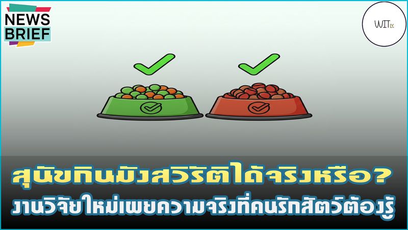[Witly. - เปิดโลกวิทย์แบบเบา ๆ] 🐶 สุนัขกินมังสวิรัติได้จริงหรือ?: งาน ...