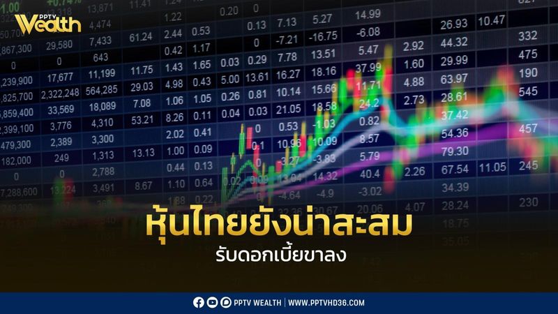 [PPTV Wealth] บล.เอเซีย พลัส มอง หุ้นไทยยังน่าสะสมรับดอกเบี้ยขาลง บล.เอเซีย พลัส มอง SET ดูแพง ...