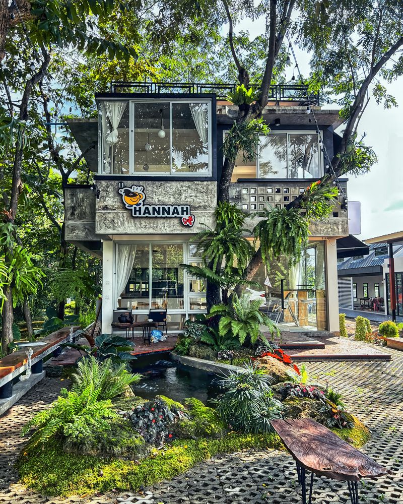 [สวนชาติไม้ใหญ่ จ.เชียงใหม่] ขอขอบคุณ Hannah Cafe มากๆครับ🙏💚 ที่รับ ...