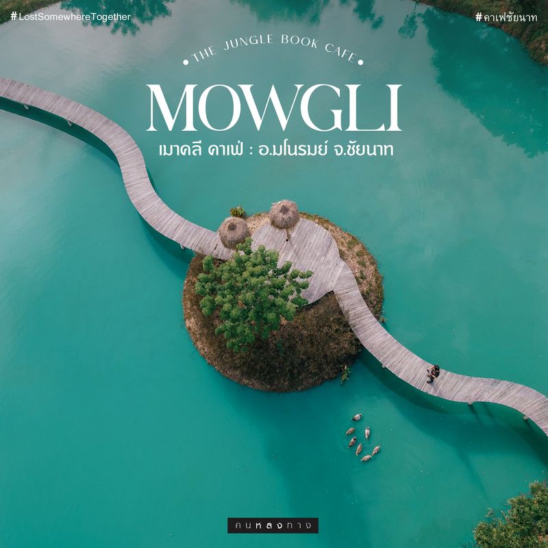 [ค น ห ล ง ท า ง] เ ม า ค ลี ค า เ ฟ่ ☕🌿 Mowgli the Jungle Book Cafe ...
