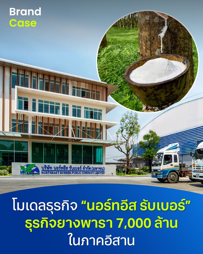 [BrandCase] โมเดลธุรกิจ “นอร์ทอีส รับเบอร์” ธุรกิจยางพารา 7,000 ล้าน ในภาคอีสาน - รู้ไหมว่าในภาค ...