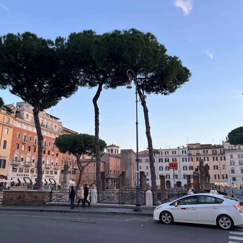 [Nok Milazzi] Largo di Torre Argentina
