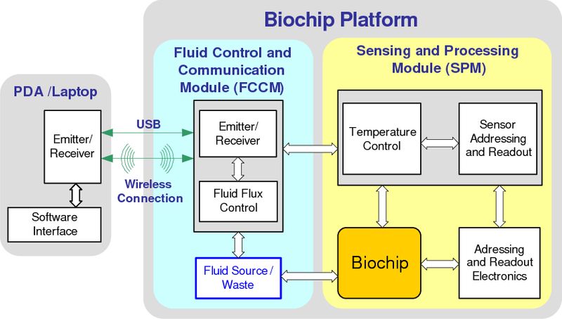 [kalpesh rajput] Biochip Scanner Market Size, Trends, Share and ...