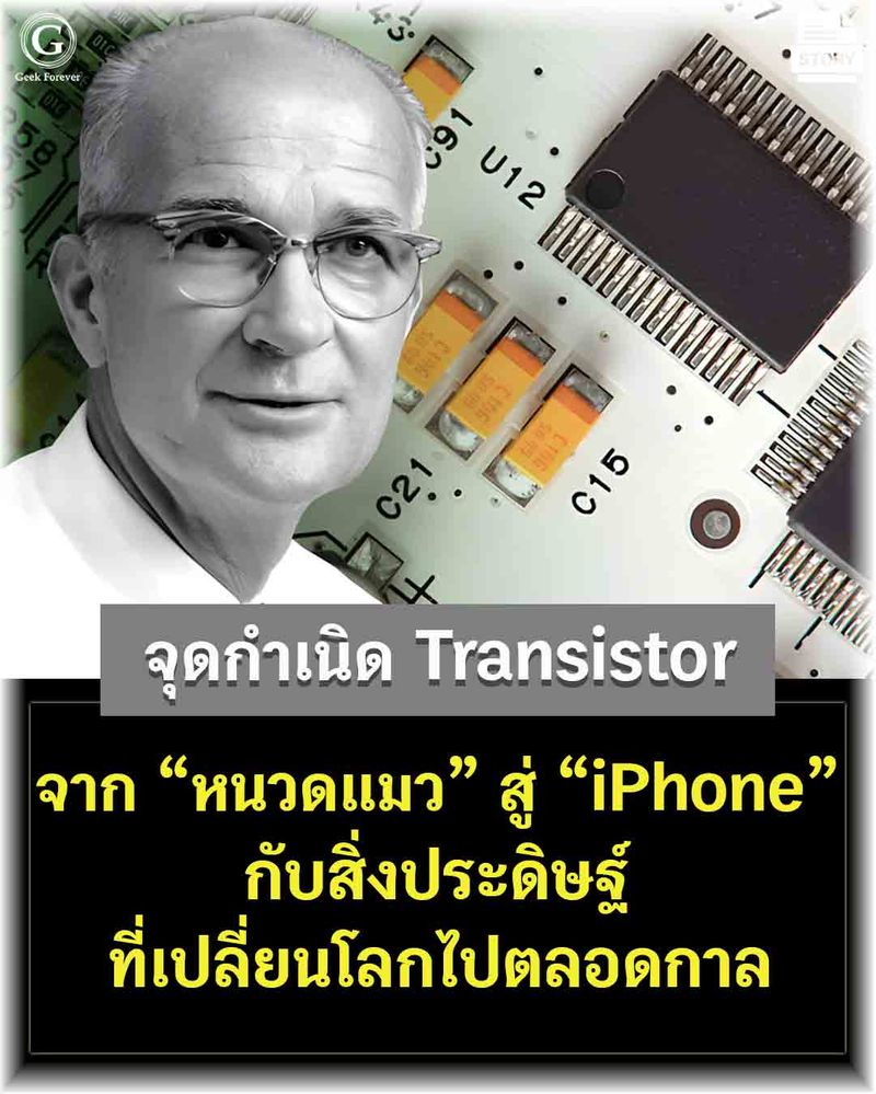 [ด.ดล Blog] จุดกำเนิด Transistor จาก “หนวดแมว” สู่ “iPhone” กับสิ่ง ...